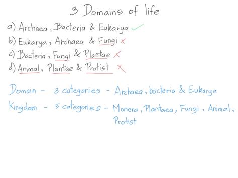 Solved How Many Domains Of Life Do Scientists Recognize And What Are They Two Eukarya And