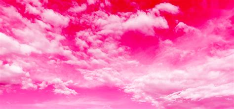 Forest Conservation Importance And Ways To Conserve