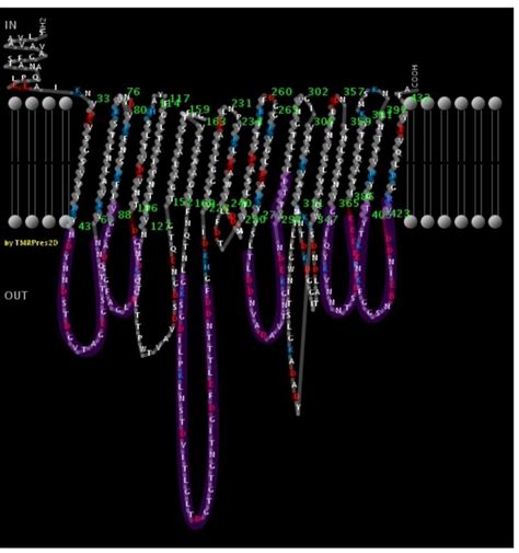 Figure S4 Predicted Secondary Structure Of Pora Using The Pora Of