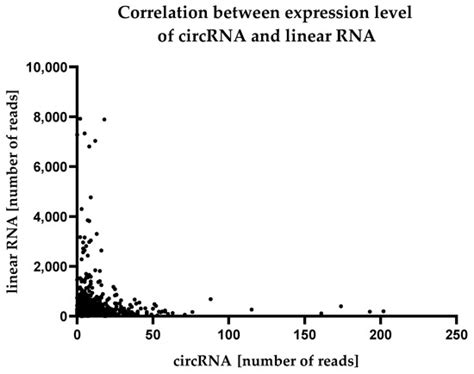 Comprehensive Analysis Of Circular Rnas In Endothelial Cells