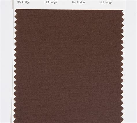 13 Pantone 19 0913 Tcx Hot Fudge Hanami Dream Cotswolds Copywriter