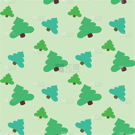 杉树背景概念多样图像植物群茎云杉收集庆祝