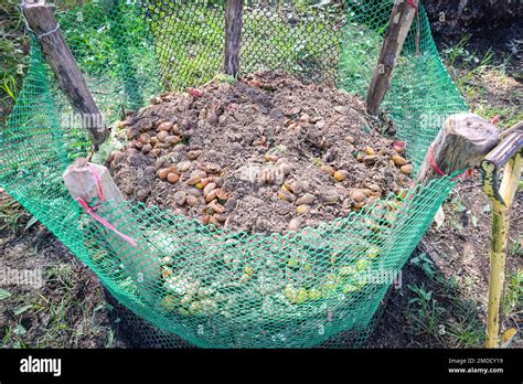 Bio Composting Fresh Bio Waste And Compost In The Garden With Food