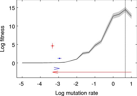 Evolution Of Suboptimal Mutation Rates On A Complex Fitness