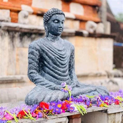 Dineli දිනේලි Dineli දිනේලි Added A New Photo