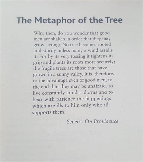 The Metaphor Of The Tree