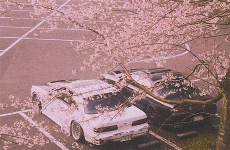 Jdm Wallpaper Classic Japanese Cars Cars Parked Under Cherry