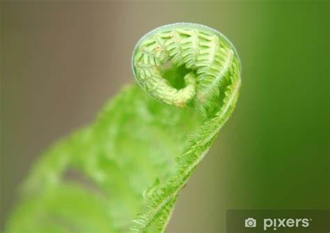 Tapis De Bain Paproc Pixersfr