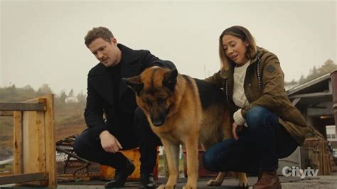Hudson And Rex 2019