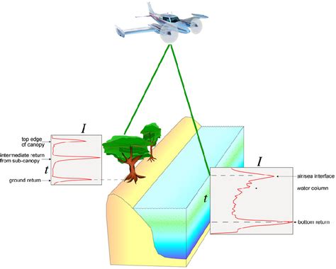 Table 21 From Full Waveform And Discrete Return Lidar In Salt Marsh