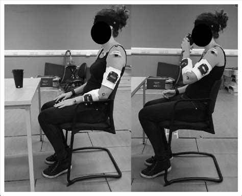 Overview Of The Drinking Task Download Scientific Diagram