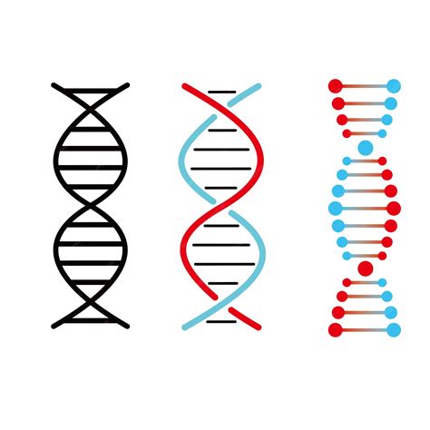 Premium Vector Dna Icon Vector Illustration Human Genetic Structure