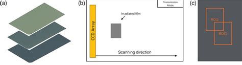 Illustration Of The Scanning Protocol A Example Of An Irradiated