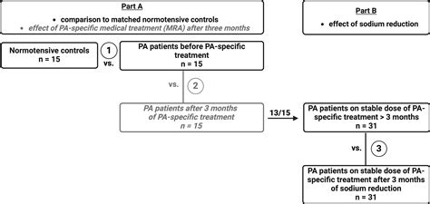 Frontiers Sex Dependent Modulation Of T And Nk Cells And Gut Microbiome By Low Sodium Diet In