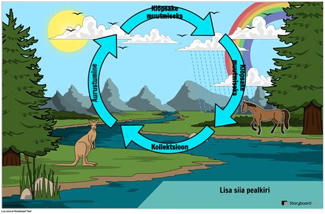 Water Cycle Tasuta Prinditav Plakati Mall Storyboard