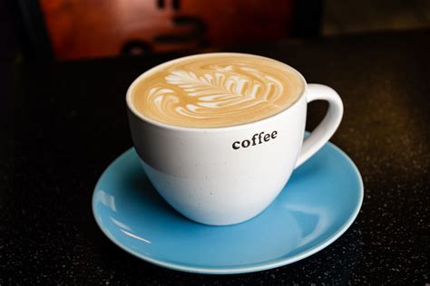 Bean Meet Julia Julia Is Our Newest Team Member Shes Been With Us