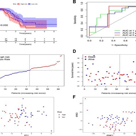 Prognostic Model For The Tcga Cohort A Lasso Regression Download