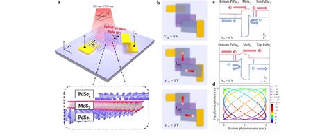 New Device Simplifies Optical Imaging And Sensing Hefei Institutes