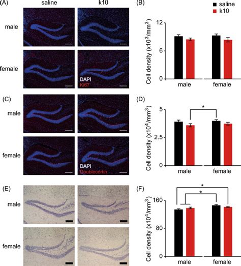 Sex Specific Neuropsychiatric Effects Of Subanesthetic Ketamine