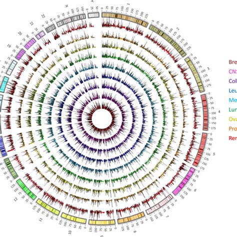 Sequencing And Mapping Quality A Phred Quality Score Per Sncrna Base Download Scientific