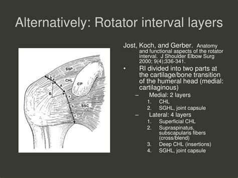 Rotator Interval Capsule Anatomy At Benjamin Ferguson Blog