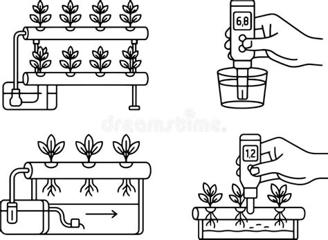 Set Of Hydroponic System Icons Stock Illustration Illustration Of