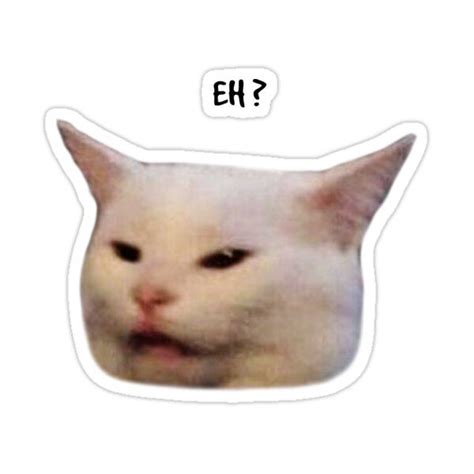 Smudge The Cat Table Cat Funny Memes Sticker By Misoukill Weird