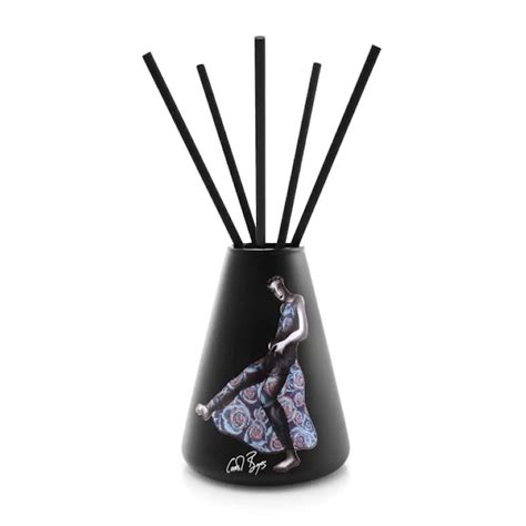 25 Off On Carrol Boyes Step Ahead Diffuser Onedayonly