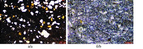 Microstructure Of The Studied Diatomites As A Result Of Thin Sections
