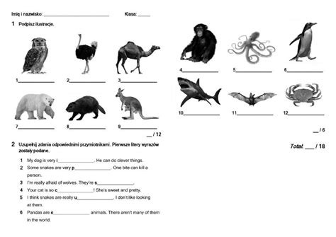 Brainy 6 Unit 4 Free Interactive Worksheets 646644