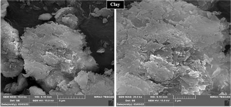Fe Sem Micrographs Of Clay Bentonite Download Scientific Diagram