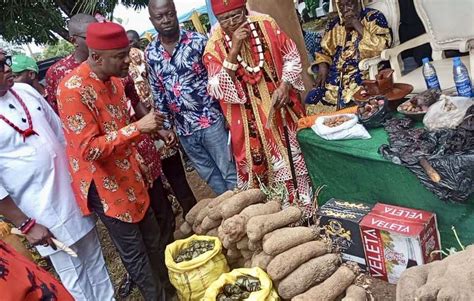 Animal Totems In Igbo Culture Sacred Symbols And Spiritual