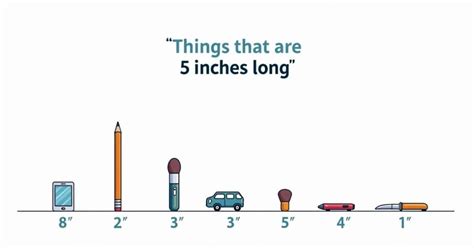Things That Are 6 Centimeters Long