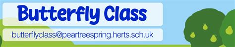 Butterfly Class 2025 2026 Peartree Spring Primary School