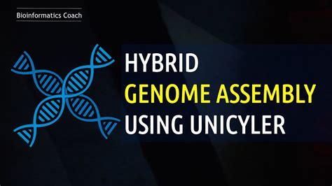 Genome Assembly Tutorial Using Unicycler Hybrid Genome Assembly Youtube