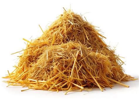 Isolated Golden Straw Pile On White Background Rustic Texture For
