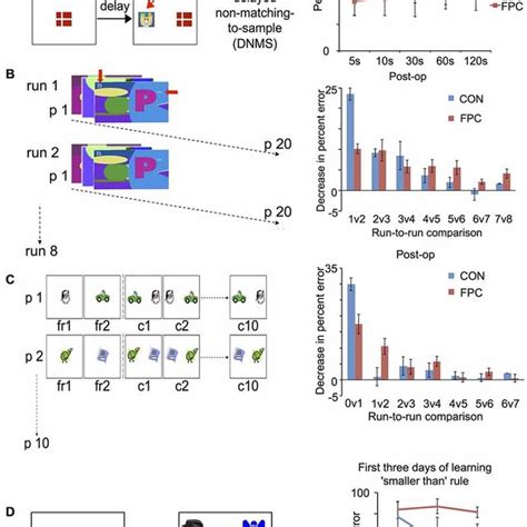 Anatomy And Connectivity Of Prefrontal Cortex Pfc In The Human And Download Scientific
