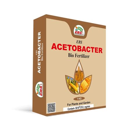 Ebs Acetobacter Bio Fertilizer Use For Plants Crops And Home Garden Nursery Etc Eagrostore