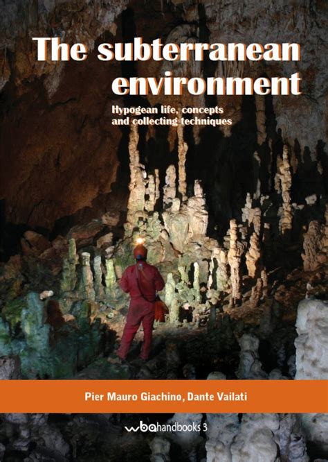 The Subterranean Environment Hypogean Life Concepts And Collecting