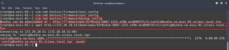 how to take backup of esxi host and restore from backup cloudthat