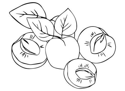 Omalovánky K Vytisknutí Jablko Omalovanekcz