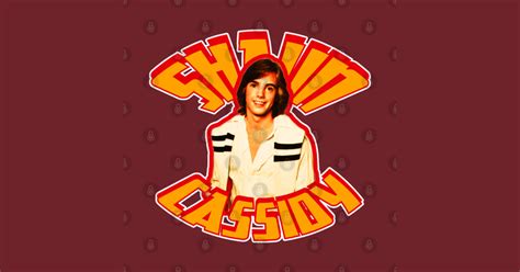 Shaun Cassidy Shaun Cassidy T Shirt Teepublic