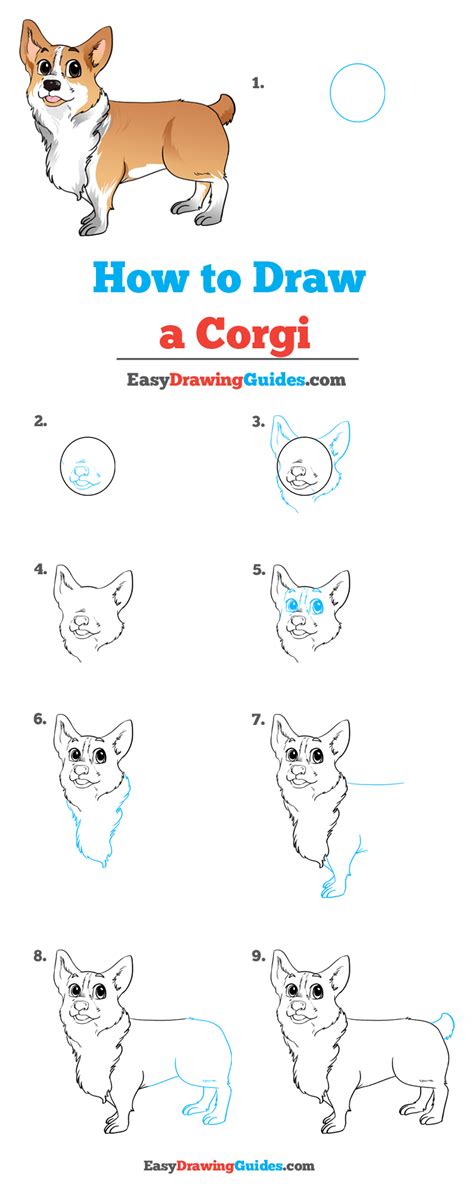 How To Draw A Corgi How To Draw A Corgi Easy How To Draw A Corgi
