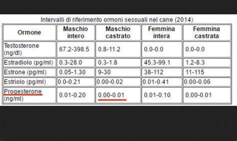 Adrenal Testing For Those Outside The Usa Lantern Publications