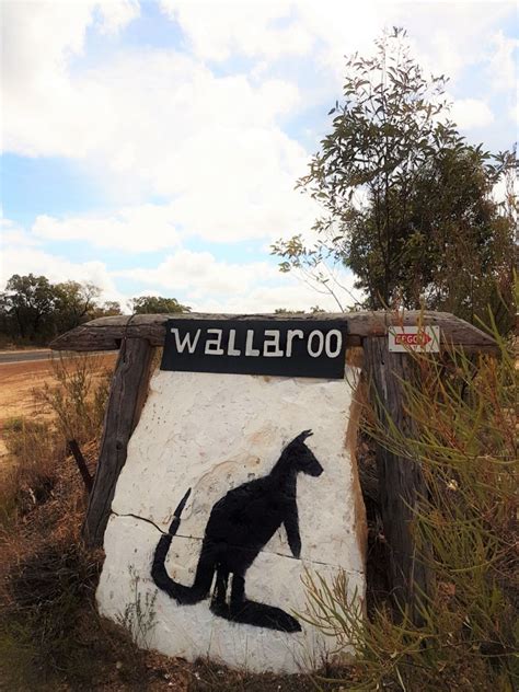 Meet The Macdonnells From “wallaroo” Deportment Classes Boobook