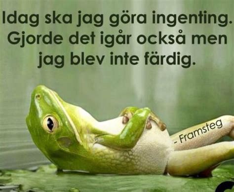 16 Ideer Om Humor I 2025 Morsomme Sitater Positive Sitater Vitser