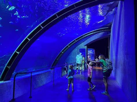 Visiting The Mazatlan Aquarium Gran Acuario