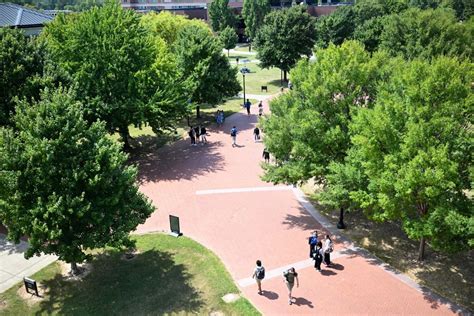 Mtsu Enrollment Rates Increase For Second Year Mtsu Sidelines