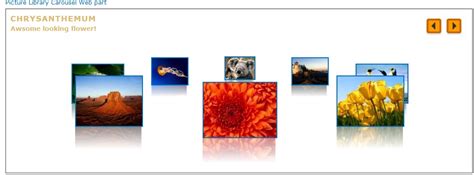 Metadatasys Inc Picture Library Carousel Web Part For SharePoint