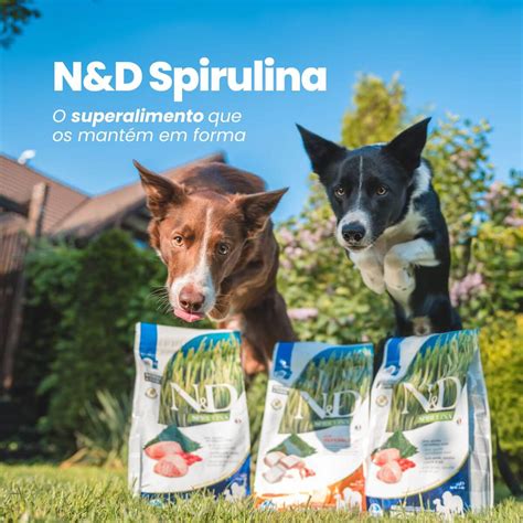 Cesman Angola O Guia De Recrutamento Me Recrute